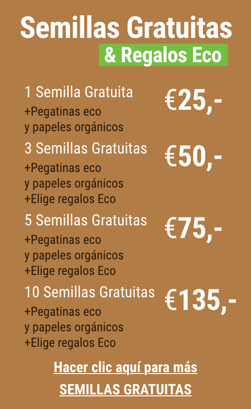 La Mejor Forma De Curar Tus Cogollos De Marihuana Rqs Blog